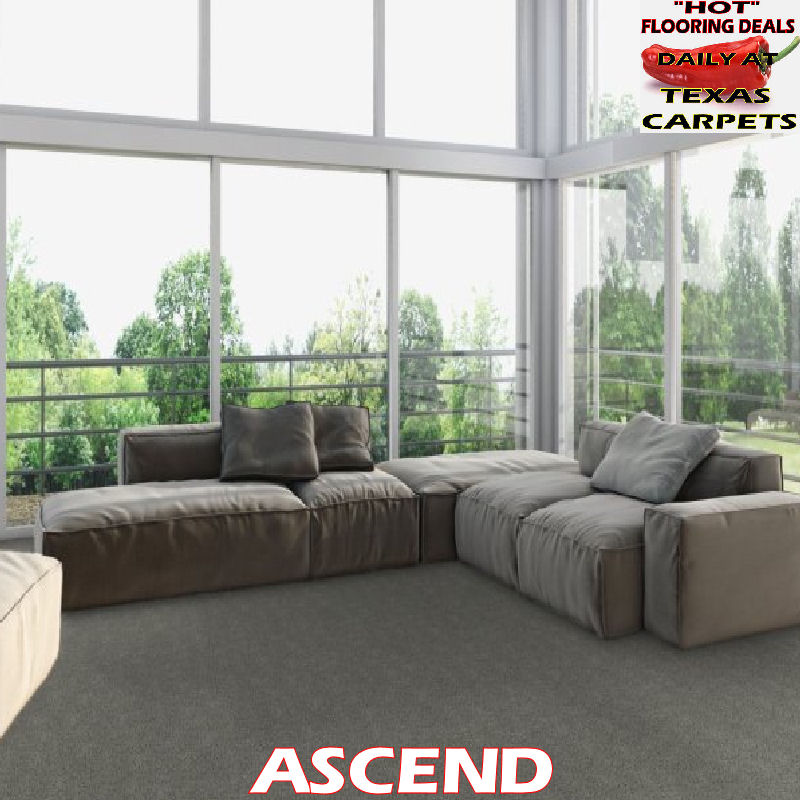 Ascend | Dreamweaver